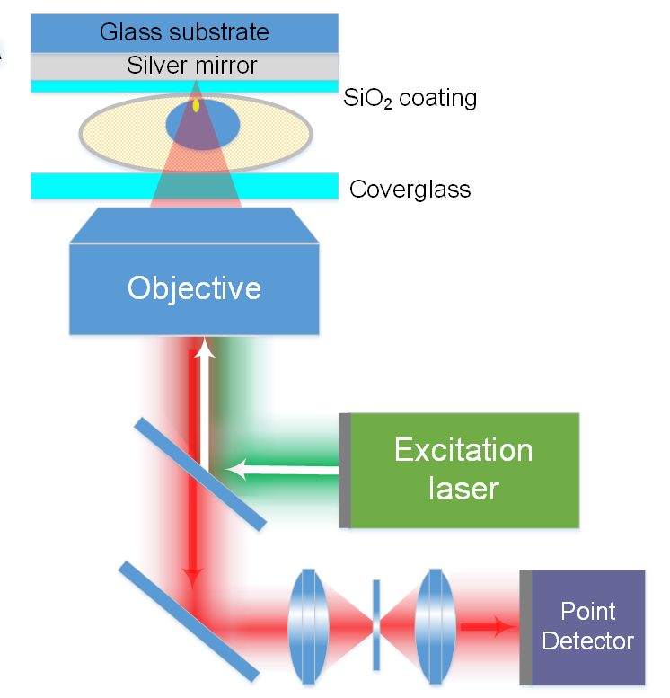 Tiny Mirror Improves Microscope Resolution for Studying Cells | News Center